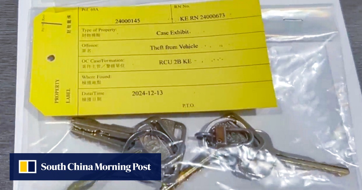 Hongkonger Arrested In Connection With 30 Cases Of Car Theft And Break