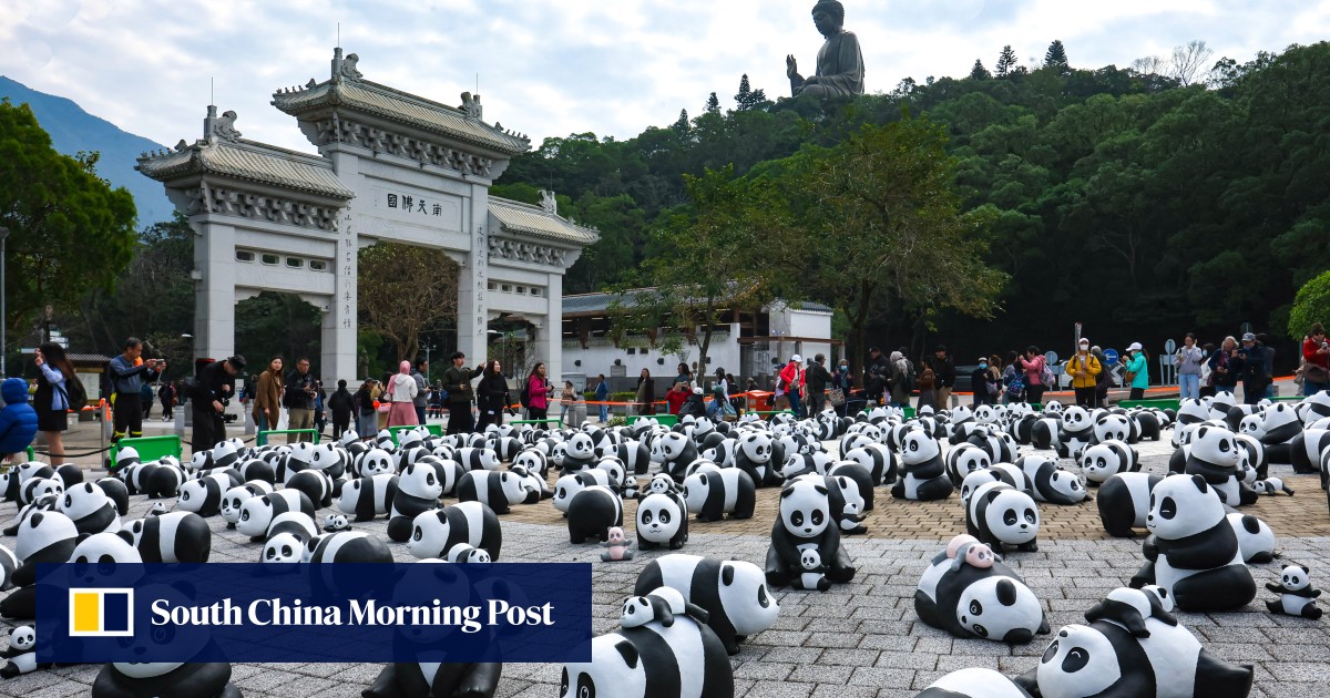 HK$923,700 raised in charity sale of panda sculptures in Hong Kong ...