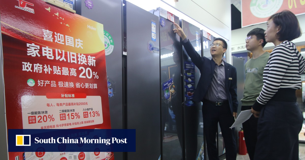 Buy or wait? Chinese consumers bet on more subsidies to revive economy ...