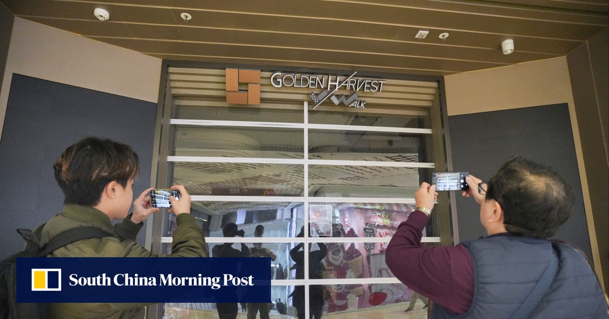 Hong Kong box office gets Christmas boost, but industry warns of bleak ...