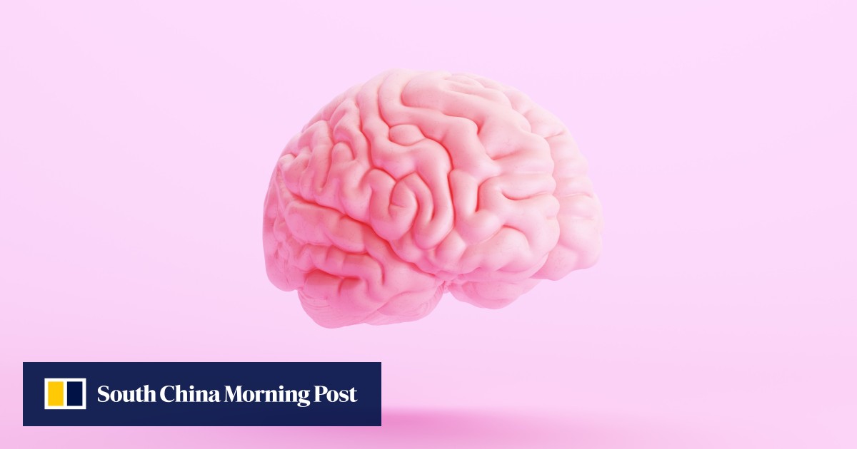 Chinese scientists show animal brain changes while awake through neural ...