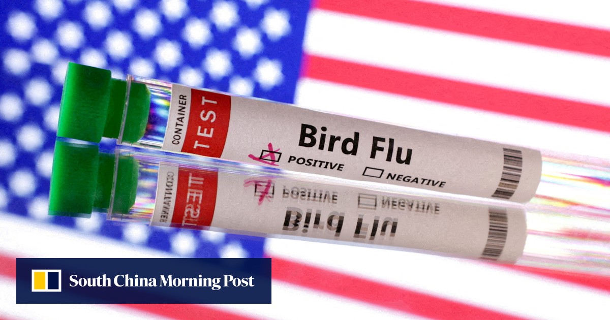 New bird flu mutation discovered in US as cat infections cause alarm ...