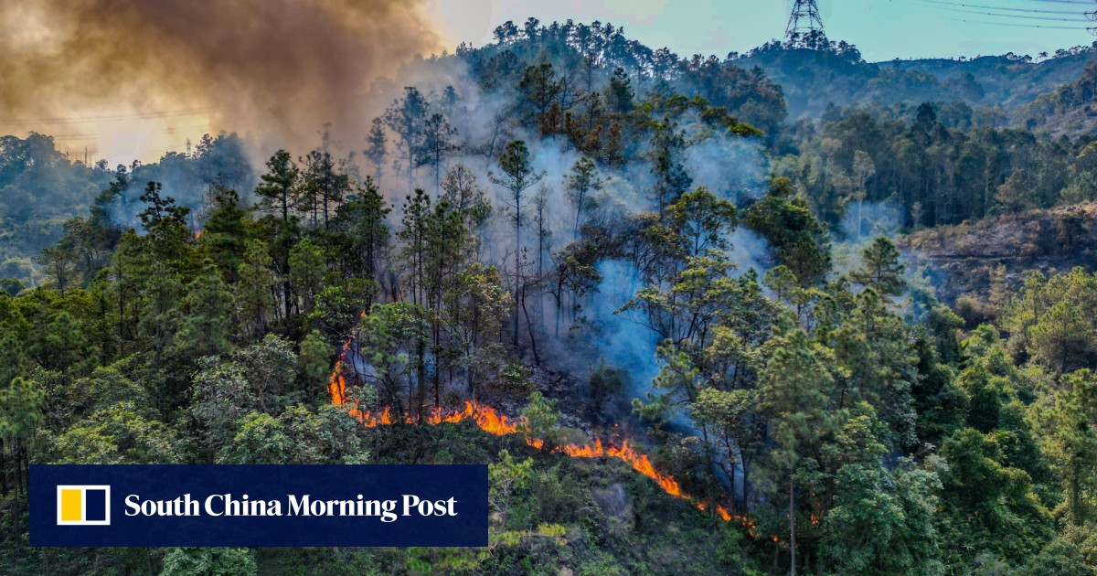 Hillside fire in northern Hong Kong finally extinguished after 25 hours ...