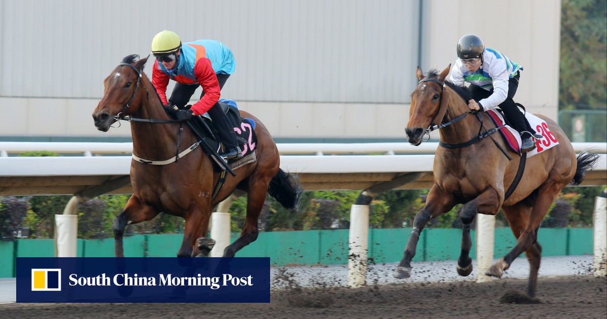 Star sprinter Ka Ying Rising warms up for Centenary Sprint Cup with ...