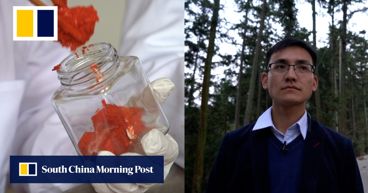 Video | Chinese entrepreneur turns to tofu to breathe new life into ...