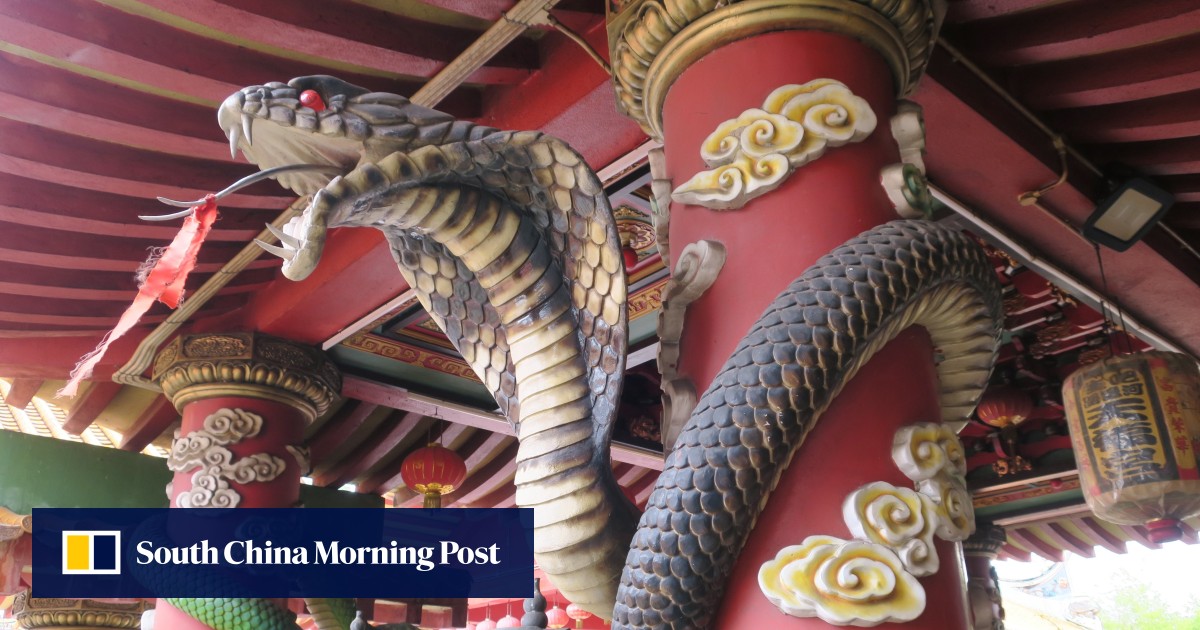 Born in a Year of the Snake? Your zodiac conflicts with coming lunar ...