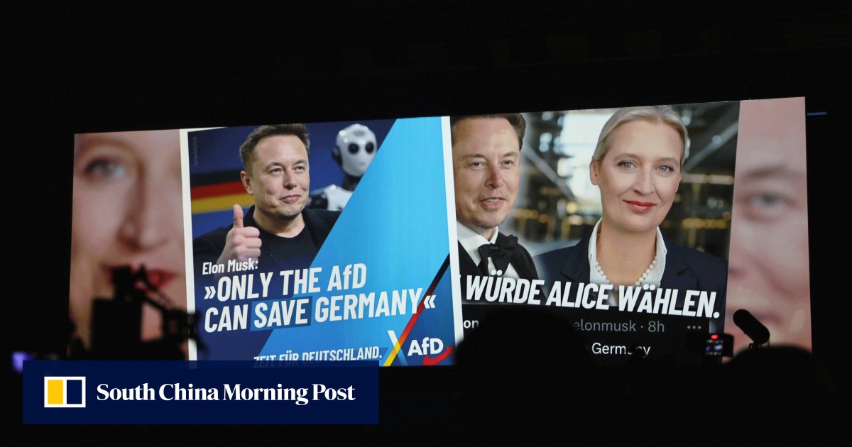 Anti-far-right protests held in Germany as Musk endorses AfD | South ...