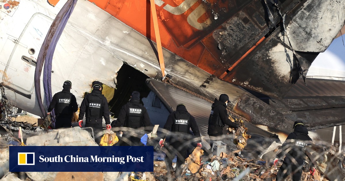 Jeju Air crash report notes ‘feathers and bird blood stains’ in plane’s ...