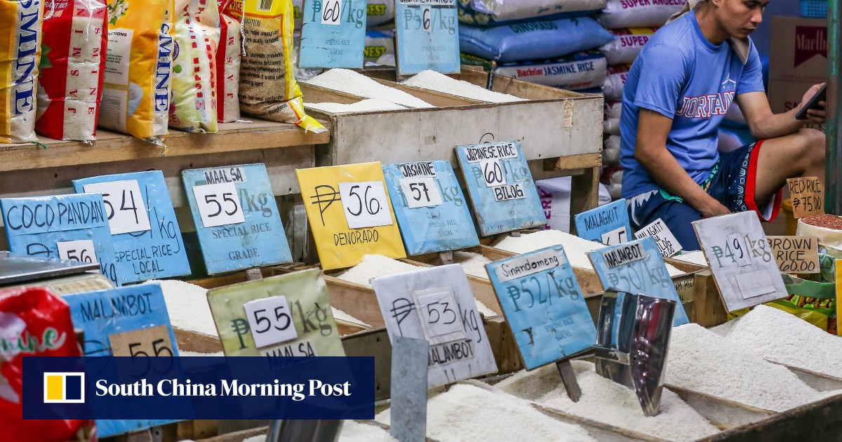 Philippines declares food security emergency to slash rice prices ...