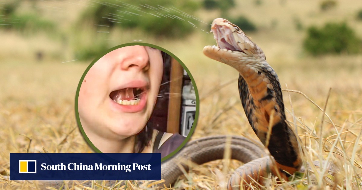 Western TikTok users mimic serpents, spit on annoying people to celebrate Year of Snake | South ...