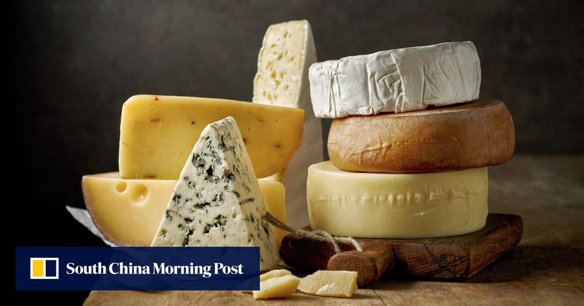 Chinese scientists investigate whether this microbe in food eases ...