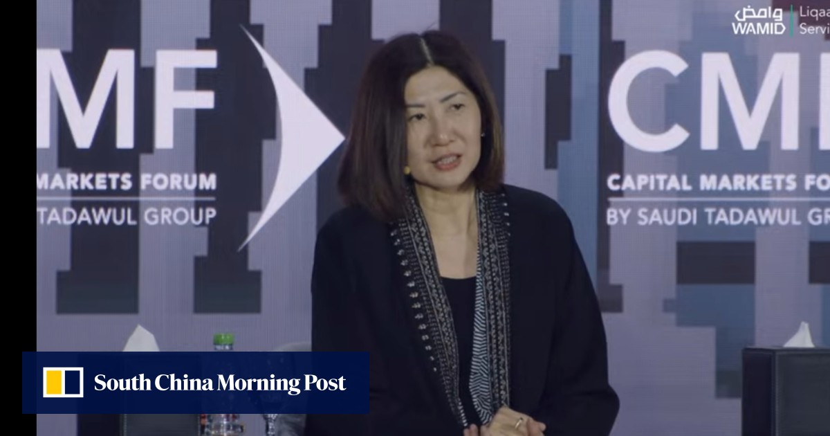 Hong Kong stock market can help emerging AI companies raise money: HKEX ...