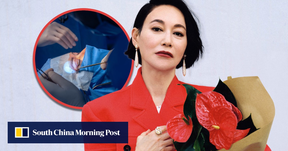 Profile | Hong Kong actress Hui Ying-hung reveals 89 facial stitches from stunts, gains public ...