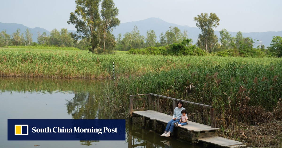 Hong Kong Developer Will Return Part Of Wetland Site To Government