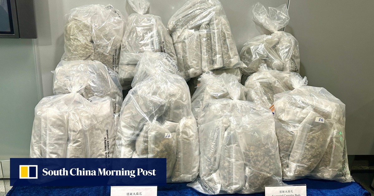 Chef arrested after Hong Kong police find HK$13 million in cannabis buds | South China Morning Post
