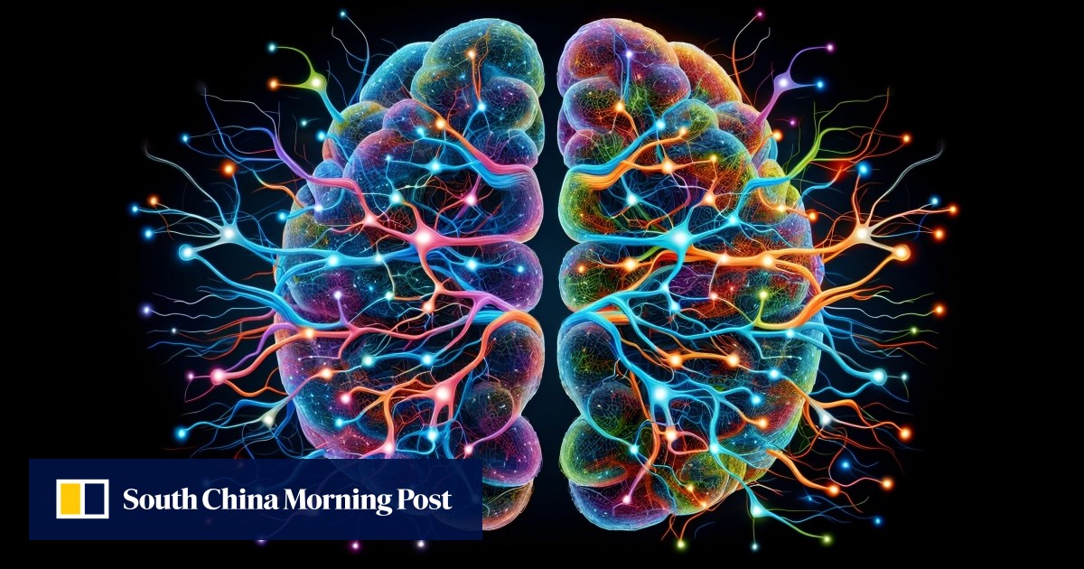 How does the human brain work? Chinese team’s ‘groundbreaking’ study ...
