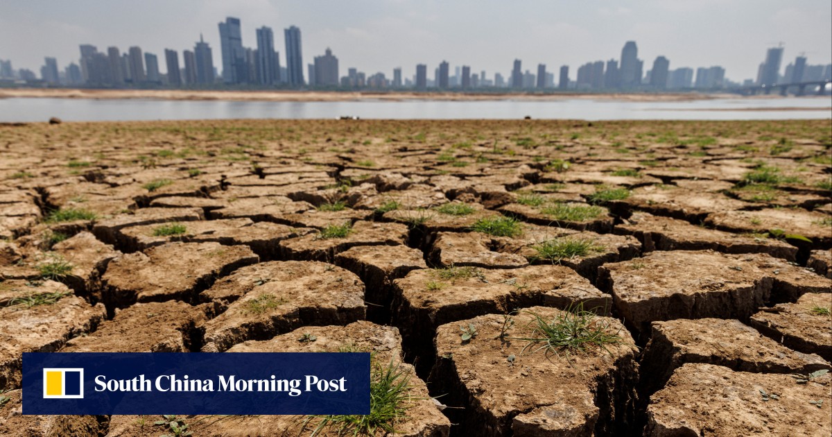 China’s croplands, Taiwan’s home-grown submarine: SCMP daily highlights ...