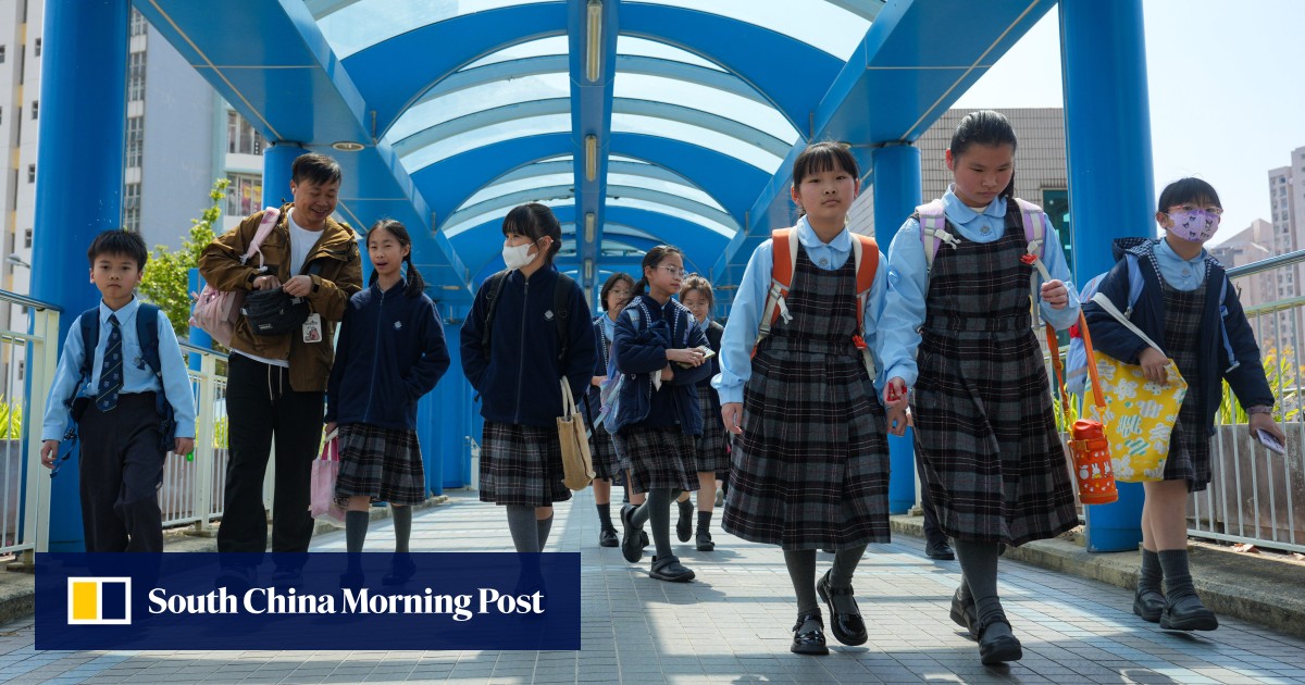 Hong Kong lawmaker denies minister’s claim axing student subsidy was ...