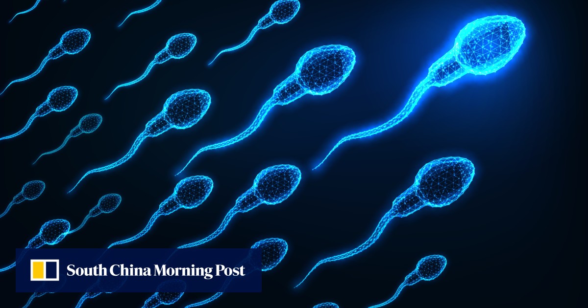 Men with high sperm counts live longer than those with the lowest ...