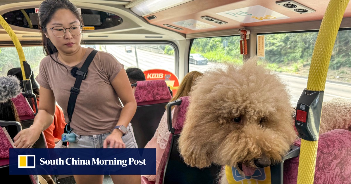 Hong Kong’s MTR Corp, KMB considering allowing commuters to bring pets ...