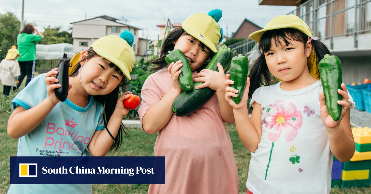 Preschool exchange programme in Japan provides unique learning for Hong Kong children | South ...