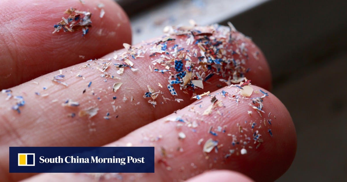 How To Reduce Microplastics In The Body Scientists Give Tips On How To