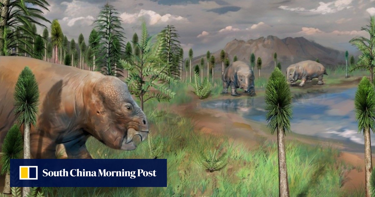 Chinese basin may have been a refuge during largest mass extinction. Do we need another? | South ...