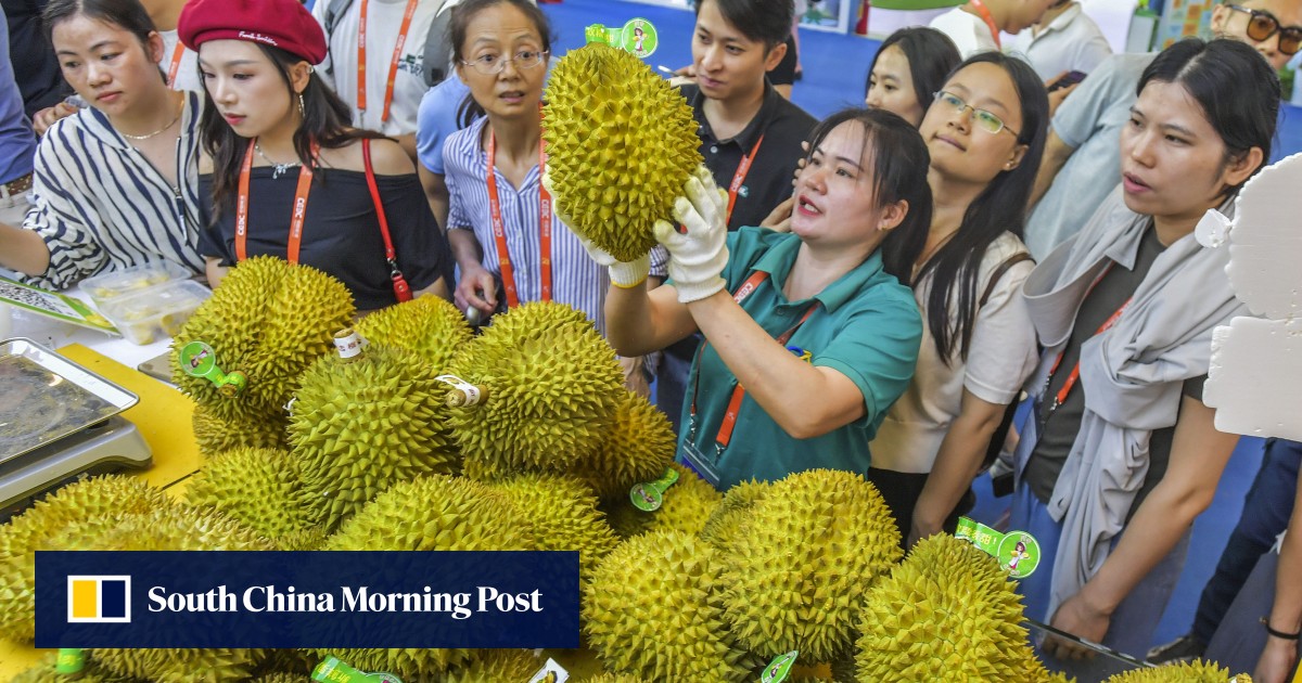 Indonesia’s vast durian industry is poised to begin exports to China ...