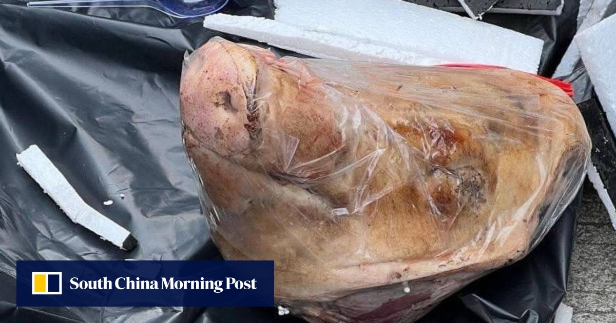 Indonesian reporter receives pig’s head in incident condemned as ...