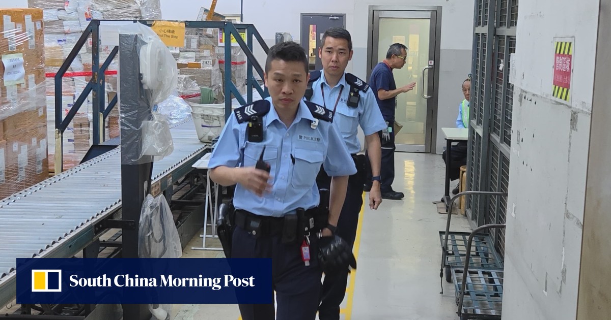 Snakes in the mail: Hong Kong police probe parcel with 10 reptiles for ...