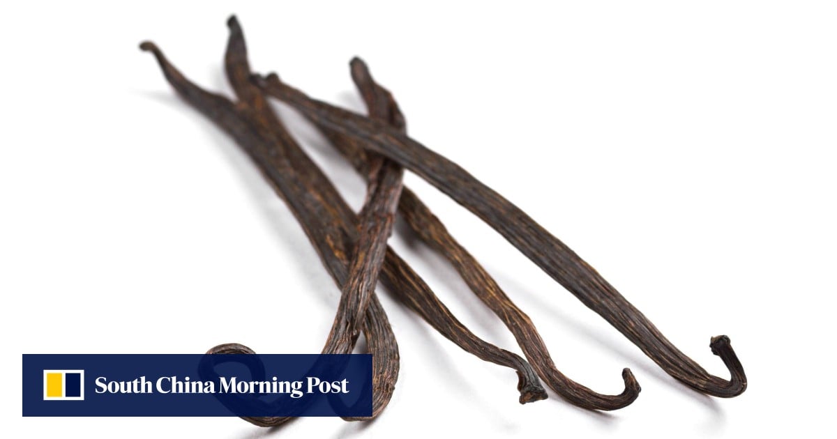 All about vanilla, how to use it in baking and cooking, and a dessert ...