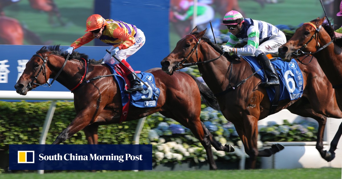 Derby placegetter Packing Angel sidelined by knee injuries, while ...