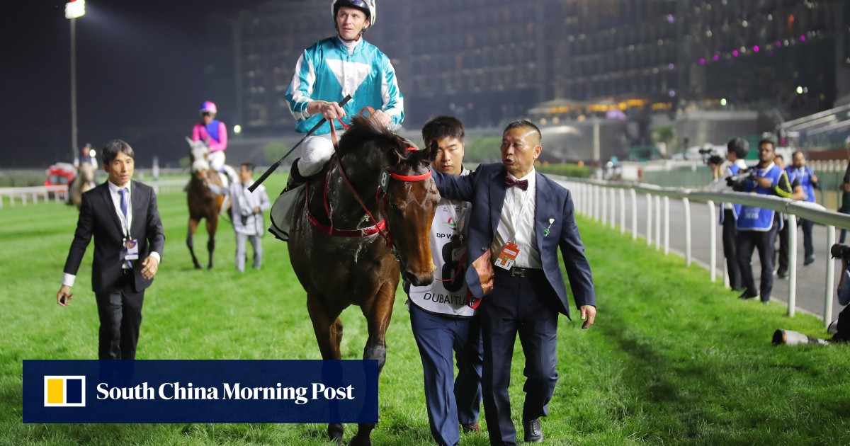 Romantic Warrior tired but healthy as he awaits Hong Kong return | HK ...