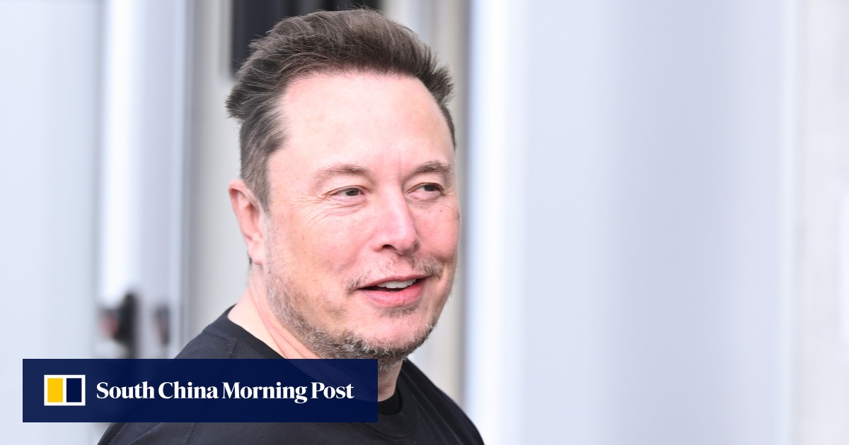 Trump adviser Navarro dismisses Tesla’s Musk as ‘car assembler’ after ...