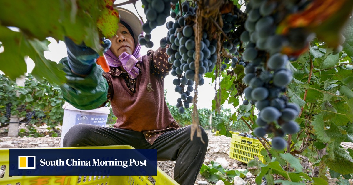 Hong Kong and Ningxia autonomous region forge trade ties amid US-China ...