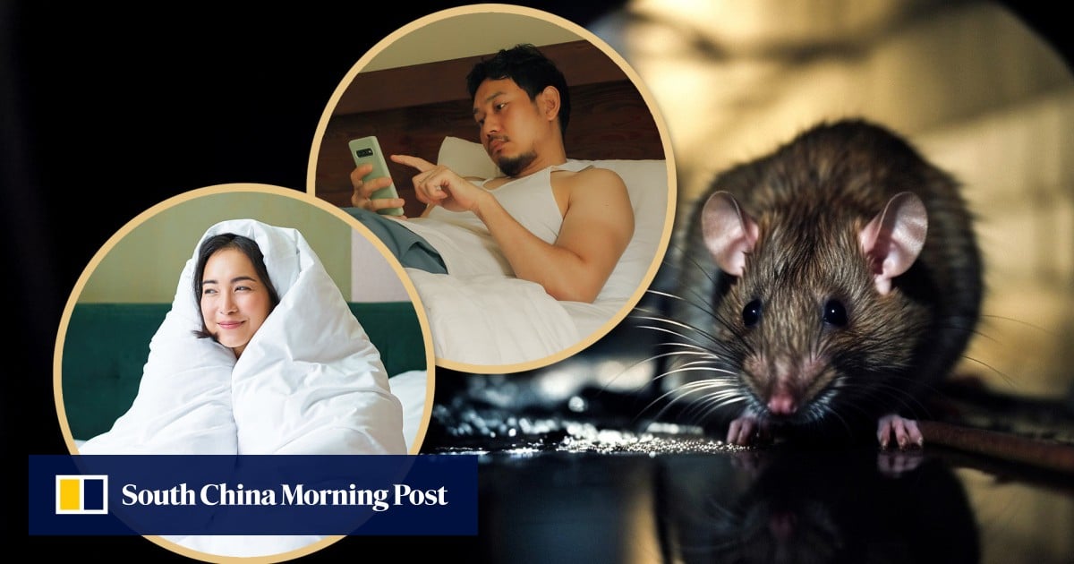 China slang term ‘rat people’ for those who shun success, attracts 2 ...