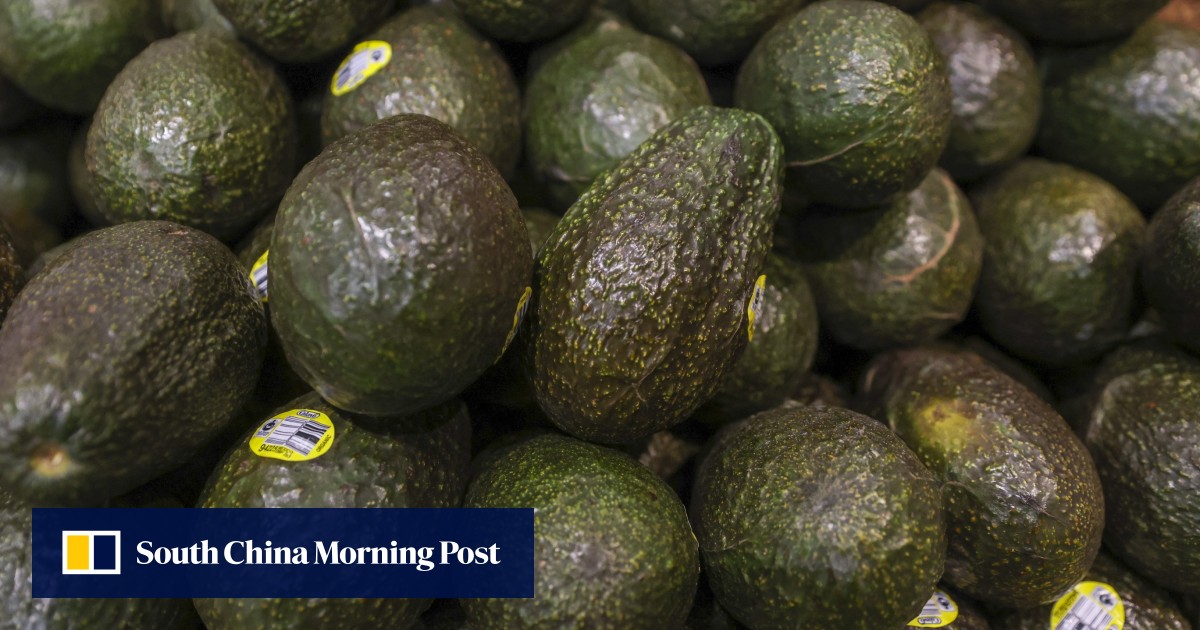 Australia’s avocados tipped for next ‘priority’ as China trade ties ...