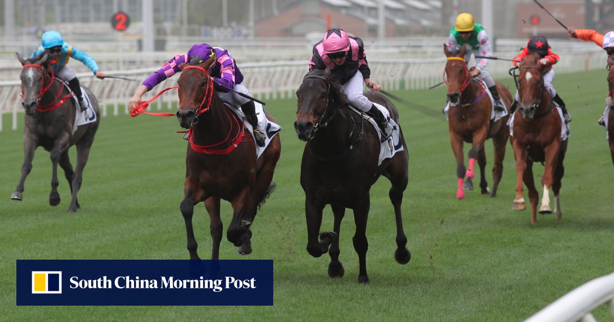 The All Out snares season’s first Griffin race, while Dream Winner ...