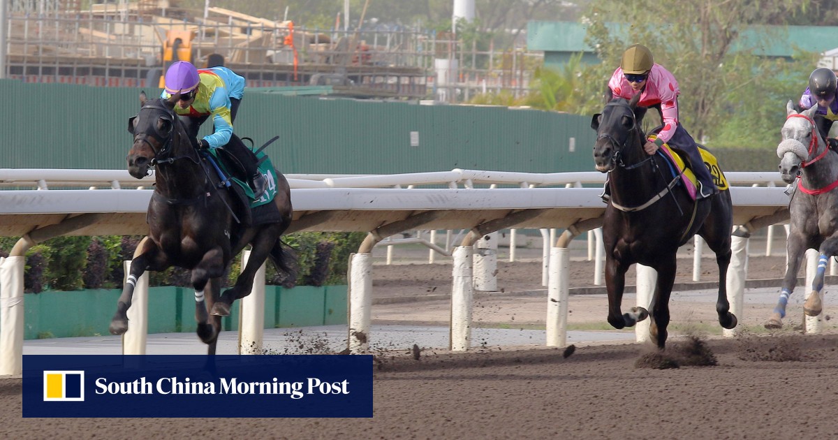 Victor The Winner tunes up for Chairman’s Sprint Prize as Champions Day ...