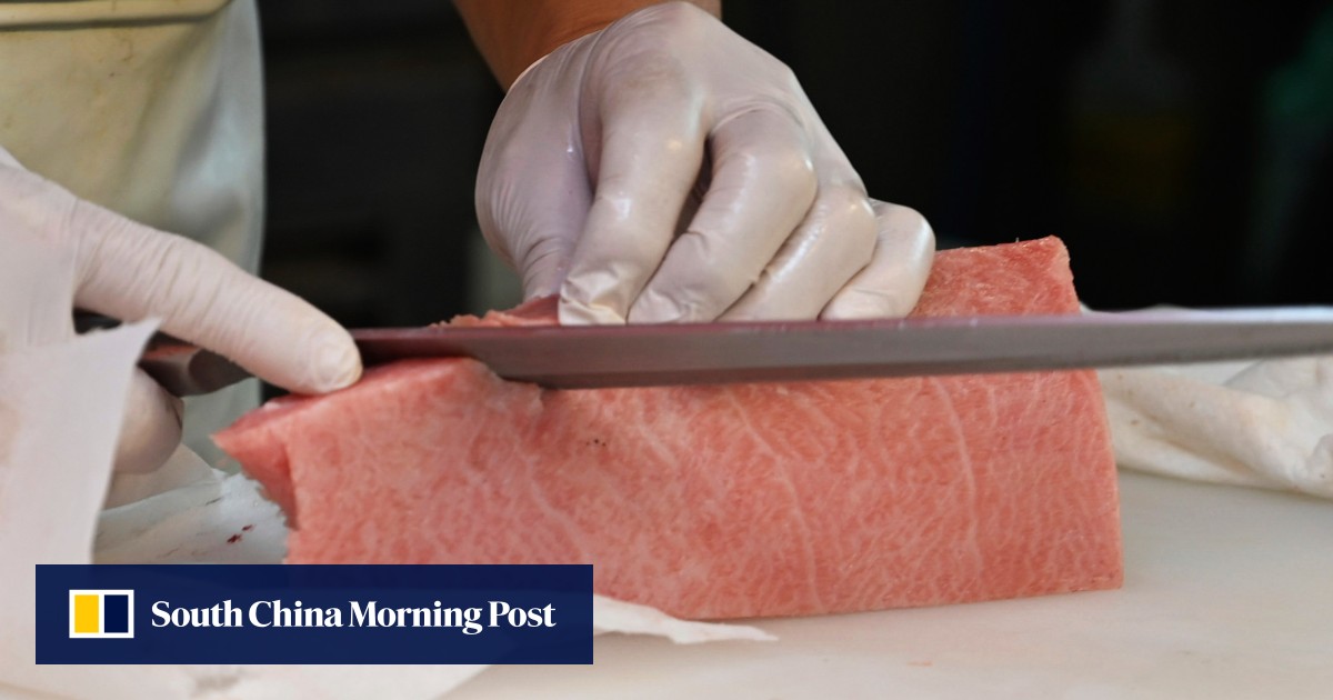 How fatty is your tuna? New Japanese machine uses ultrasound to find ...