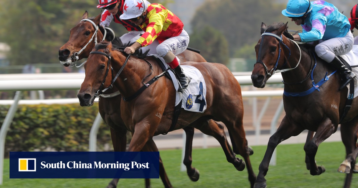 Steps Ahead and Bundle Award bid to strengthen Derby form in Sha Tin ...