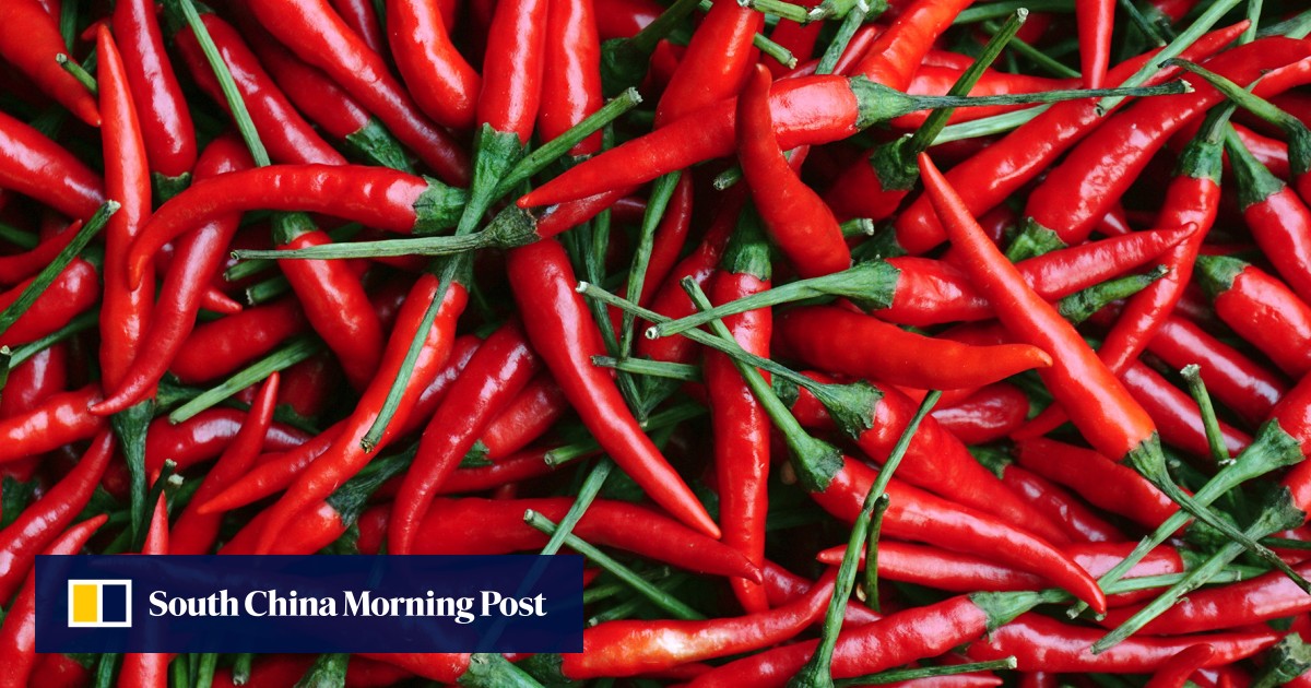 All about chilli, how cooks use it, and a recipe that makes the most of ...