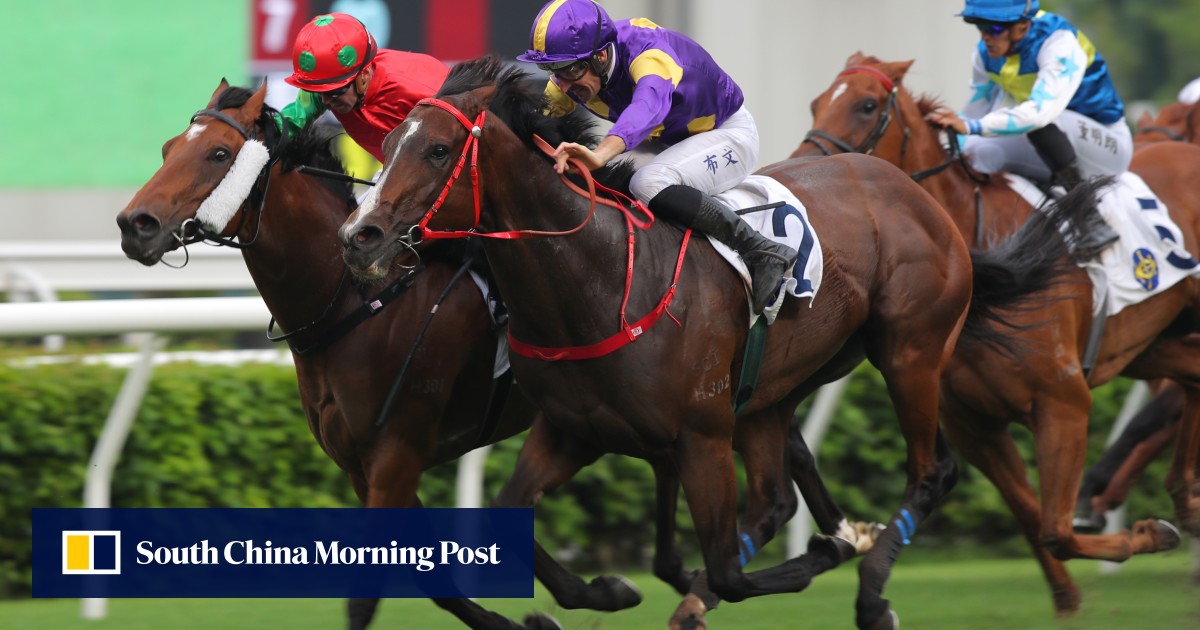 Helios Express digs deep to nail Invincible Sage in pulsating Sha Tin ...