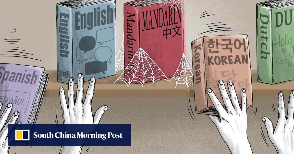 ‘Huge shift’: why learning Mandarin is losing its appeal in the West ...