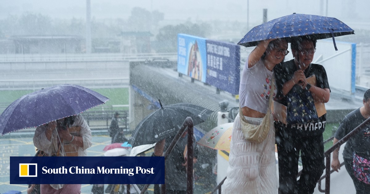 Hong Kong race fans brave storm Tapah, turnover hits HK$1.3 billion on ...