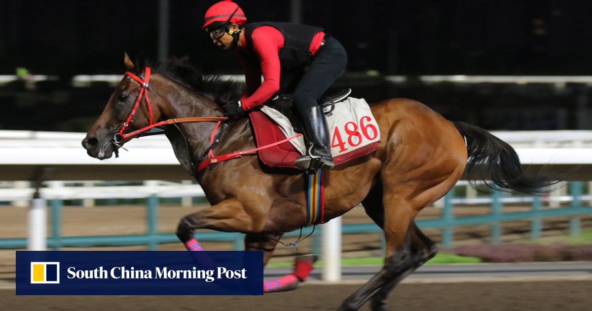 5 things to watch for during the 2025-26 Hong Kong racing season | HK ...