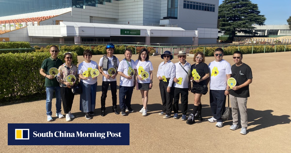 Derek Leung and Cheng family dream of Japanese Group One glory with Lucky Sweynesse | HK Racing ...