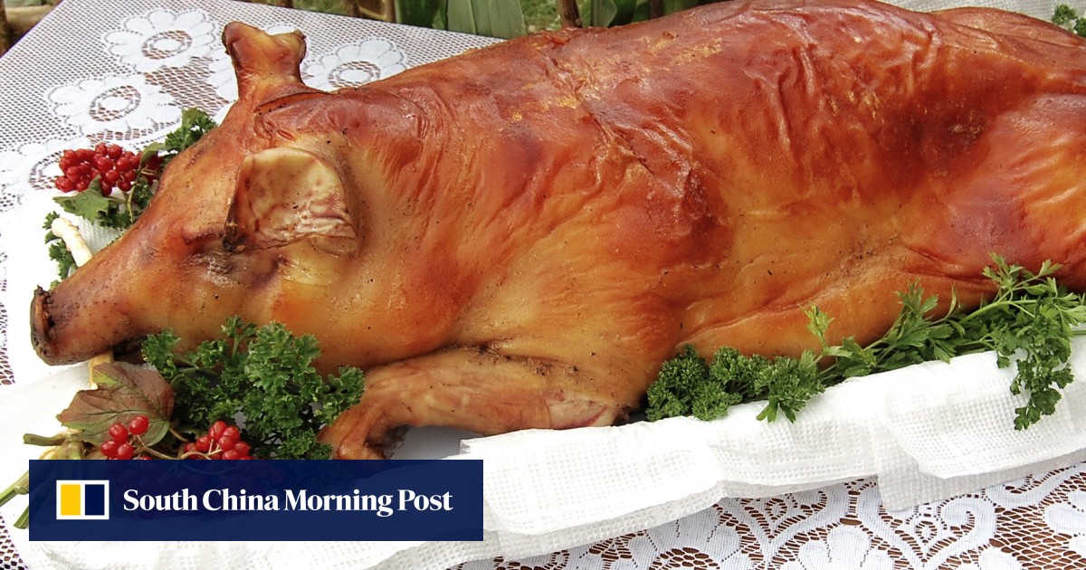 Suckling pig blamed for leaving 31 ill after Hong Kong wedding banquet ...