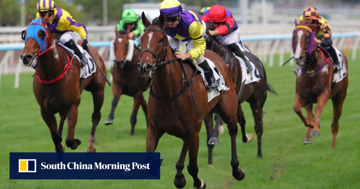 David Eustace keen to bounce back from New Year’s Day with Colourful ...