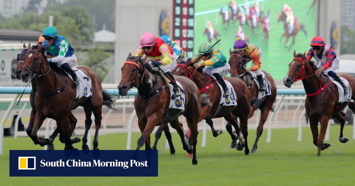 Alexis Badel gets My Wish call-up for Stewards’ Cup as owners make ...